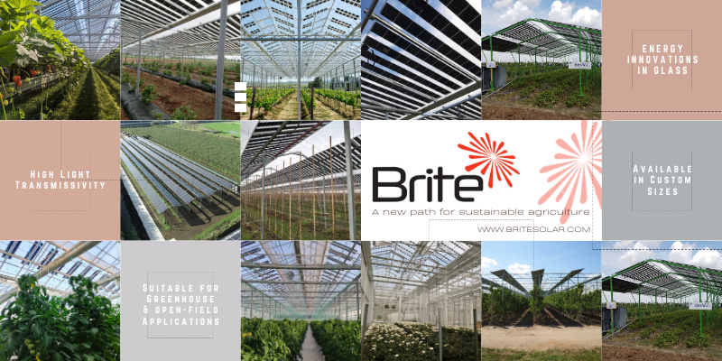 Brite Solar featured by FINE Engineering for agrivoltaic innovation